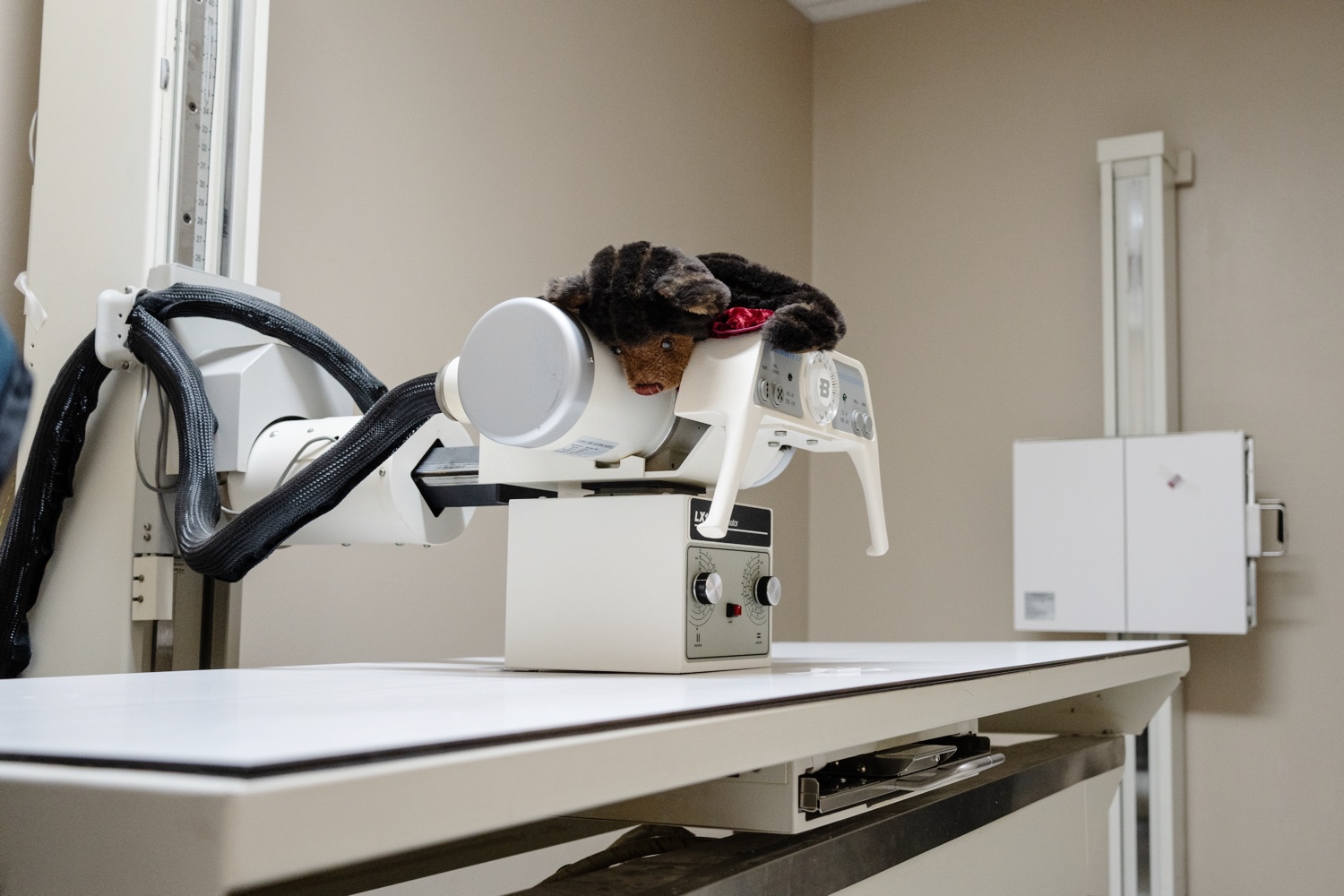 On-Site Lab and Xray Services - Mid City Pediatrics in Shreveport